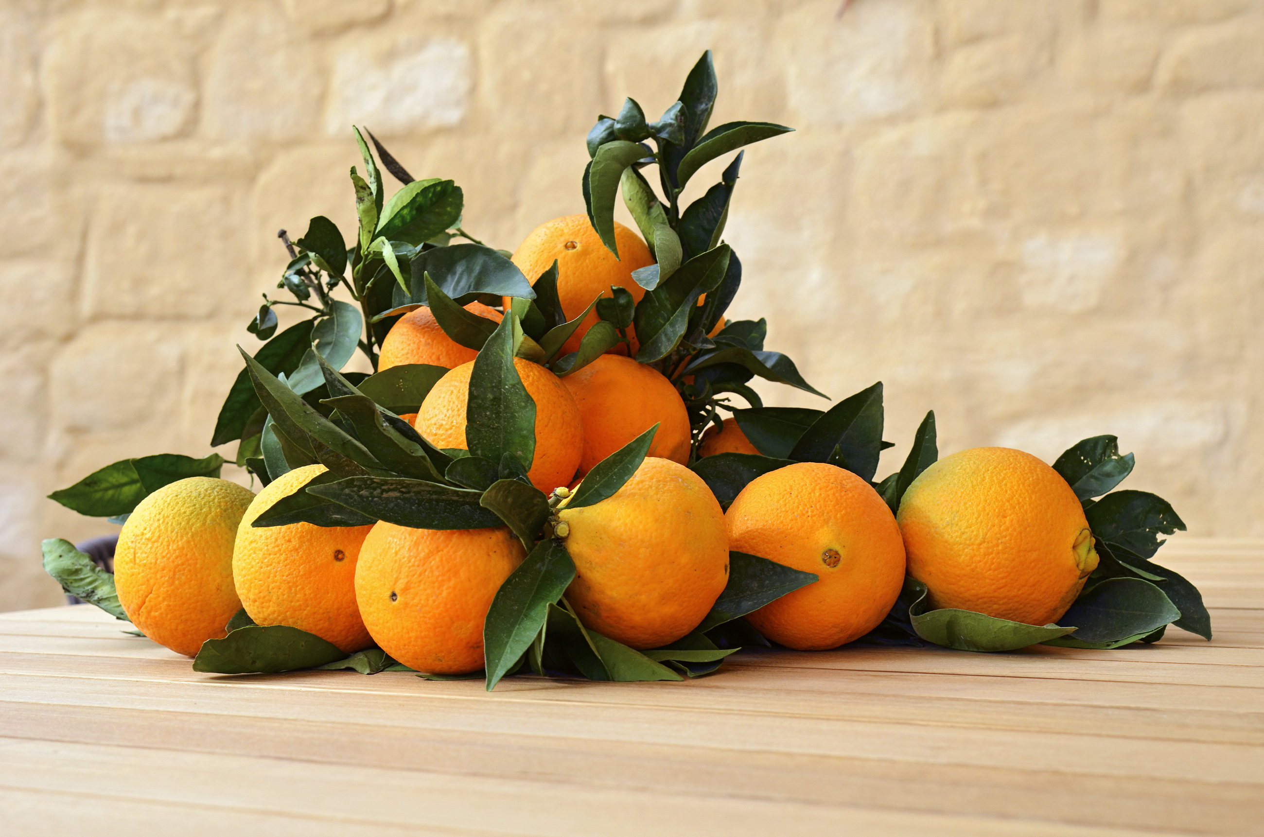 Our Exterior Photos | Conte Marino Villas in Chania