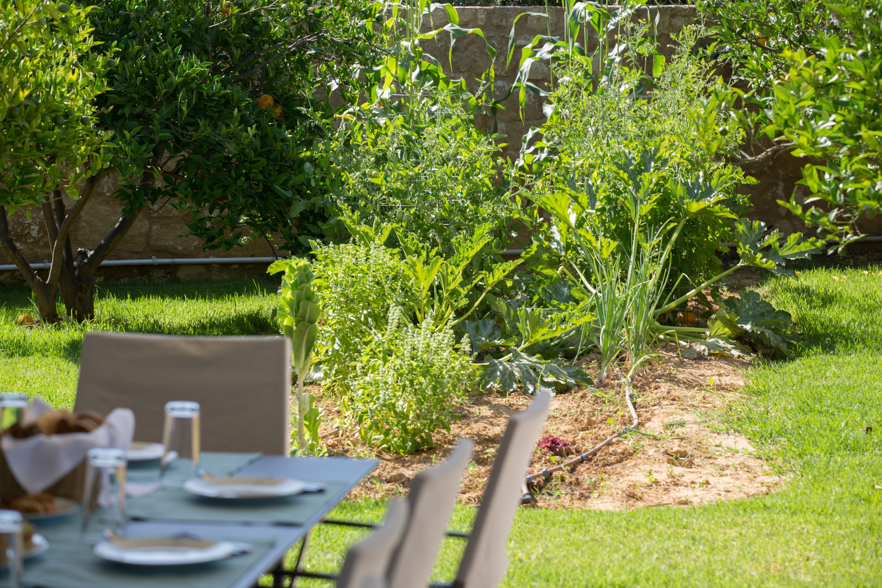 Our Exterior Photos | Conte Marino Villas in Chania